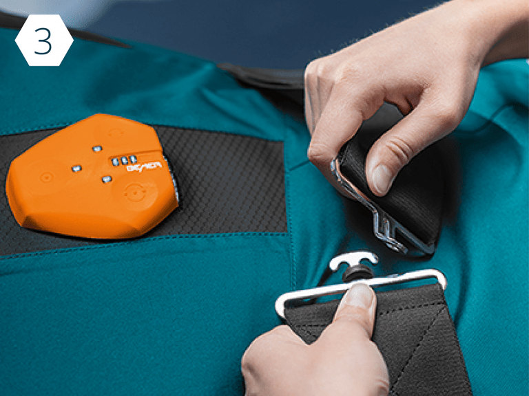 More information about Bemer Therapy and buy or rent Bemer Horse Set ...